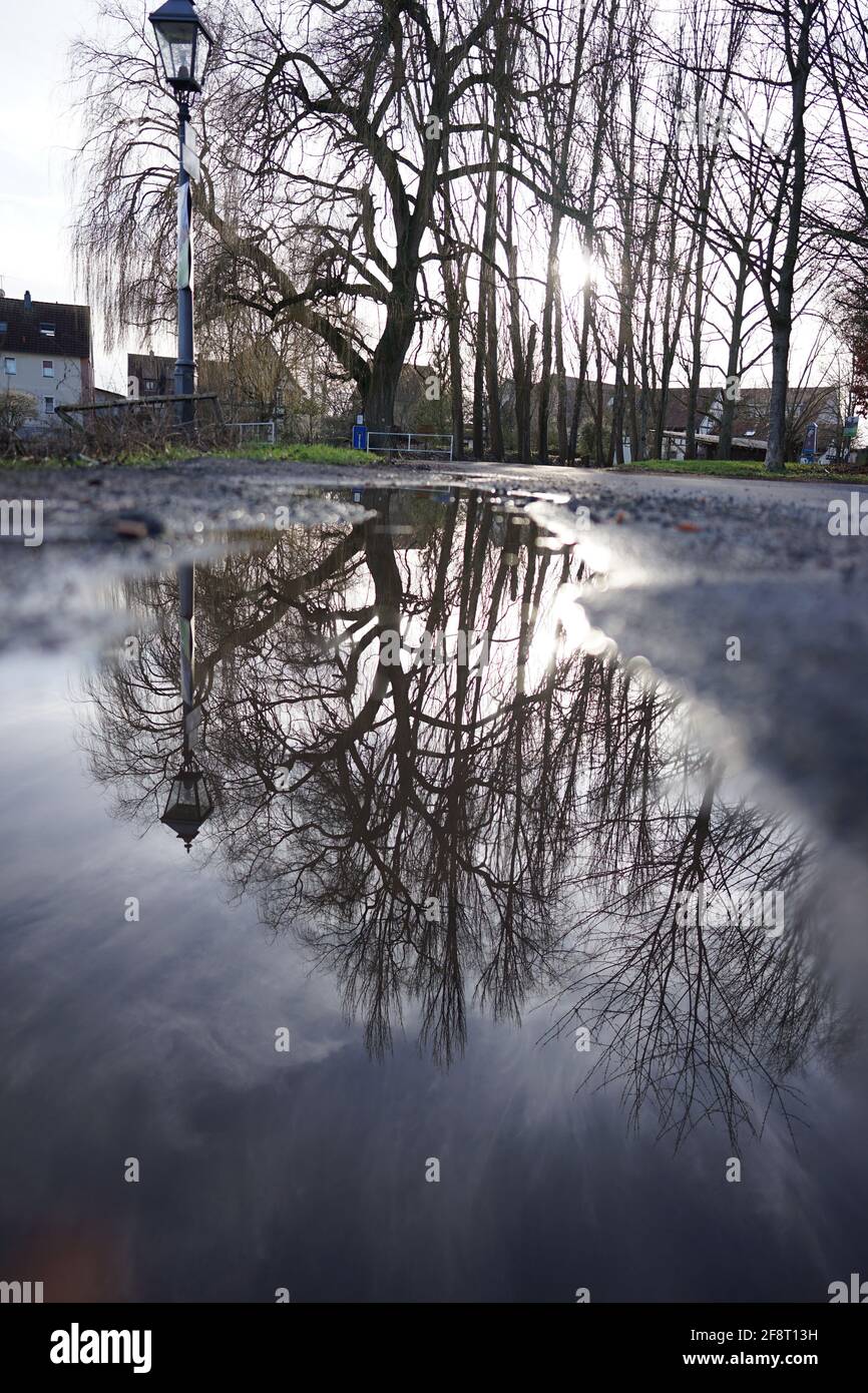 Reflection of a tree in water Stock Photo - Alamy