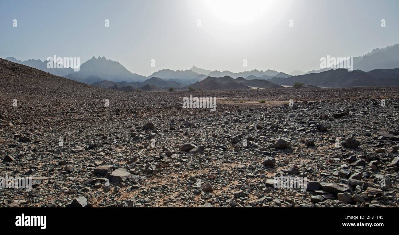Barren scenery hi-res stock photography and images - Alamy