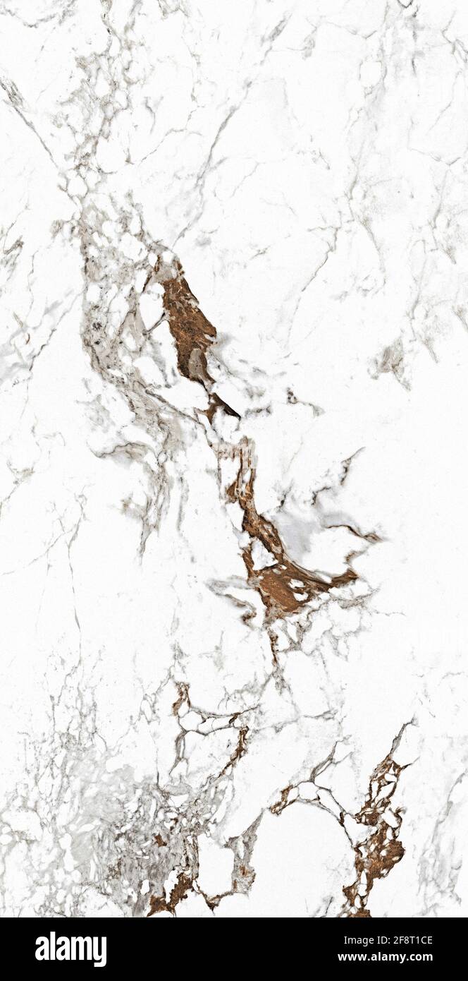 white marble design polished finish natural veins image use for tiles ...