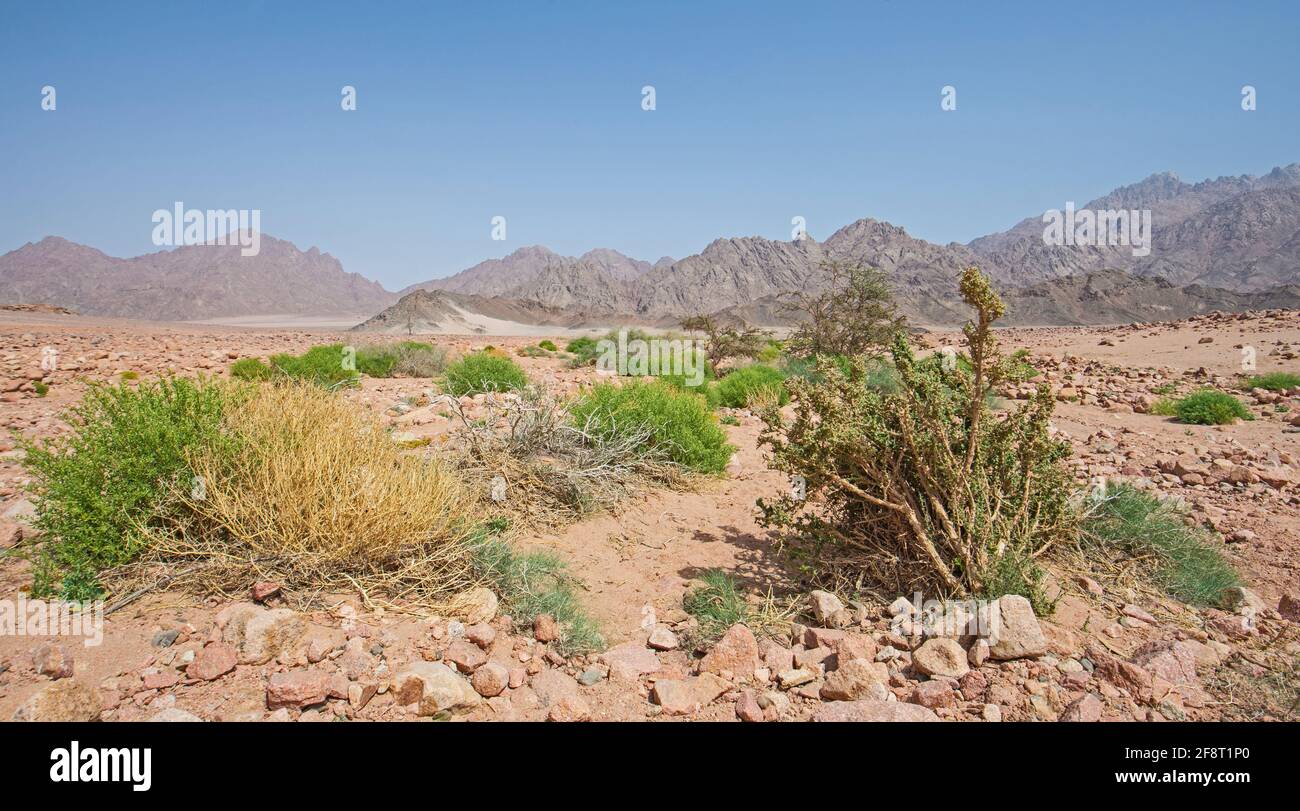 Barren scenery hi-res stock photography and images - Alamy