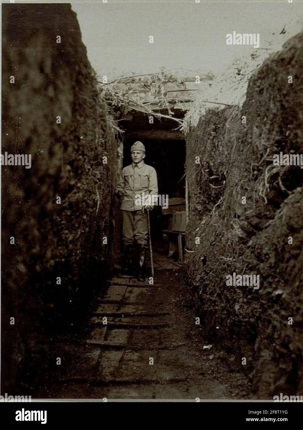 Entrance in the covered trench Stock Photo - Alamy