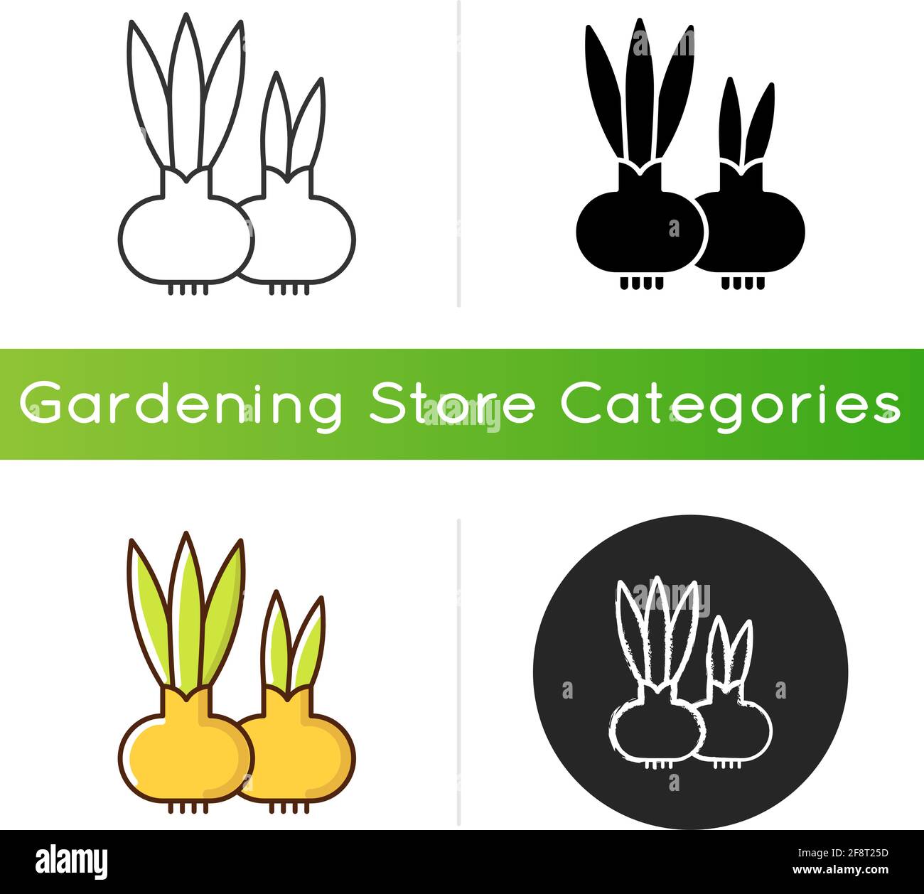 Growing bulbs Stock Vector Images - Alamy