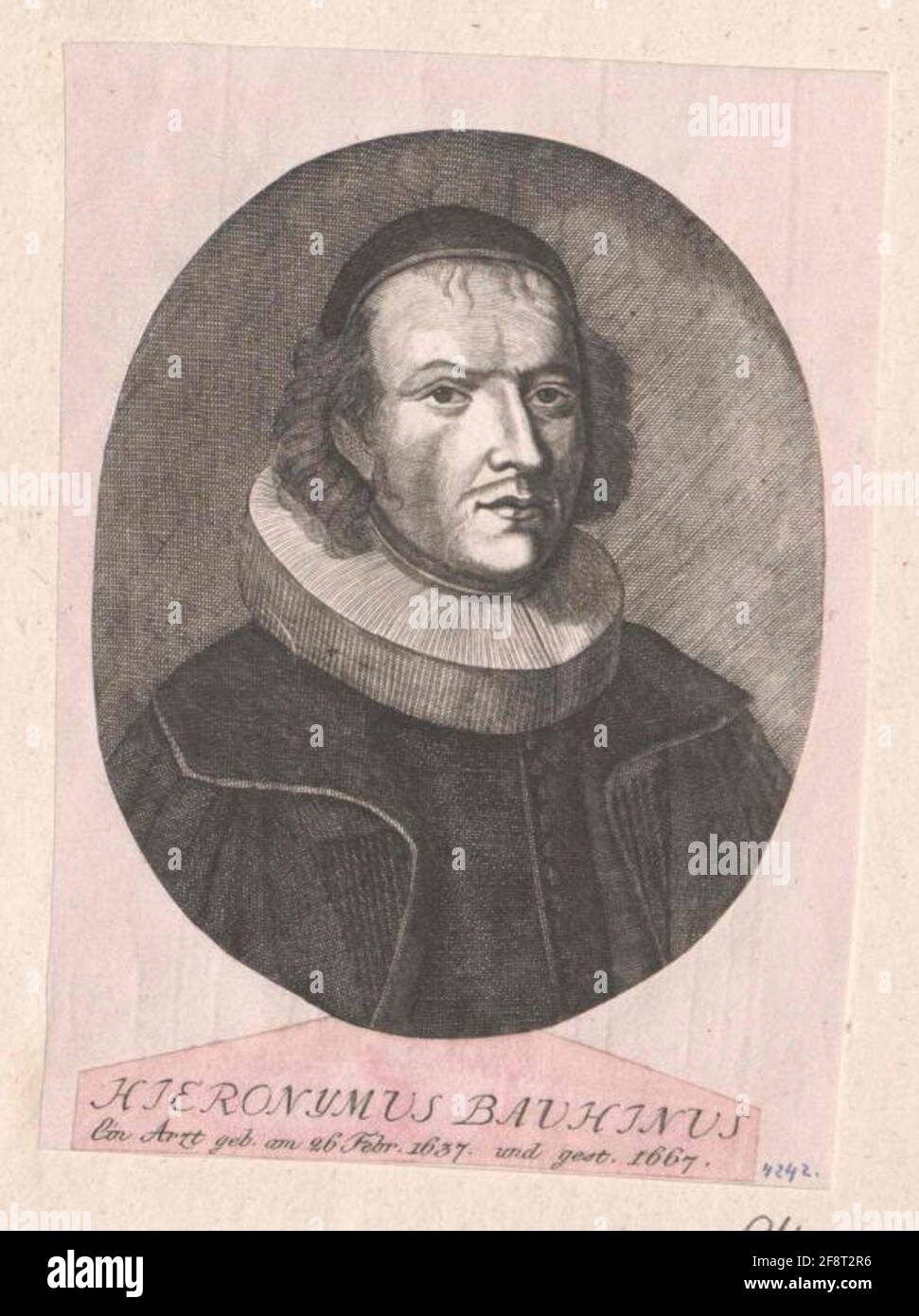 Bauhin, Hieronymus Stock Photo - Alamy
