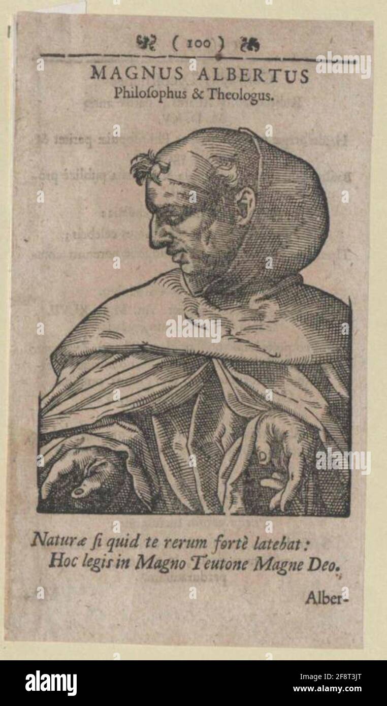 Albertus Magnus, holy Stock Photo - Alamy