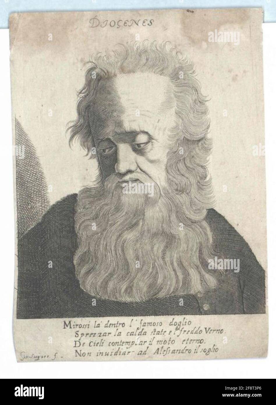 Sinope diogenes hi-res stock photography and images - Alamy