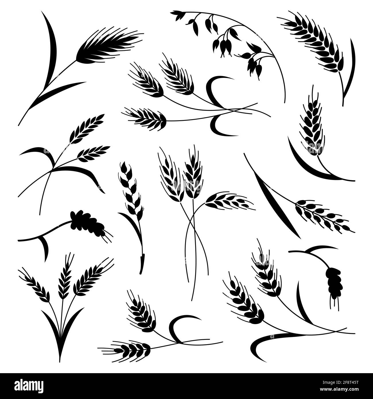 Buns vector vectors Black and White Stock Photos & Images - Alamy