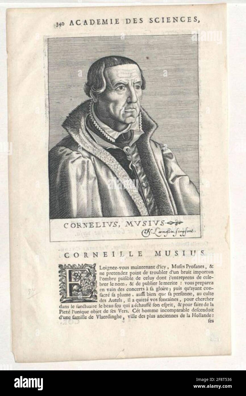 Musius hi-res stock photography and images - Alamy