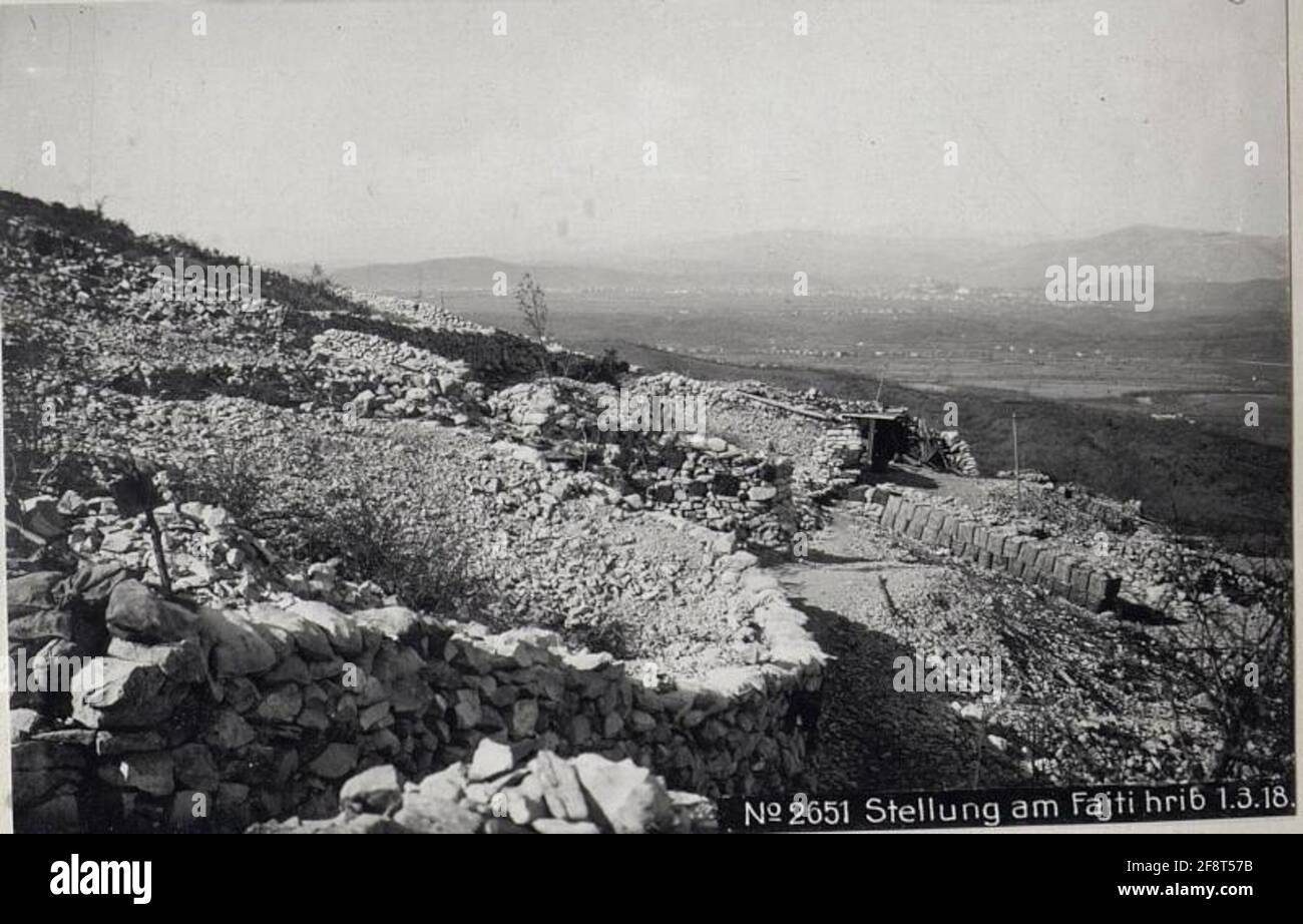 Fajti hrib hi-res stock photography and images - Alamy