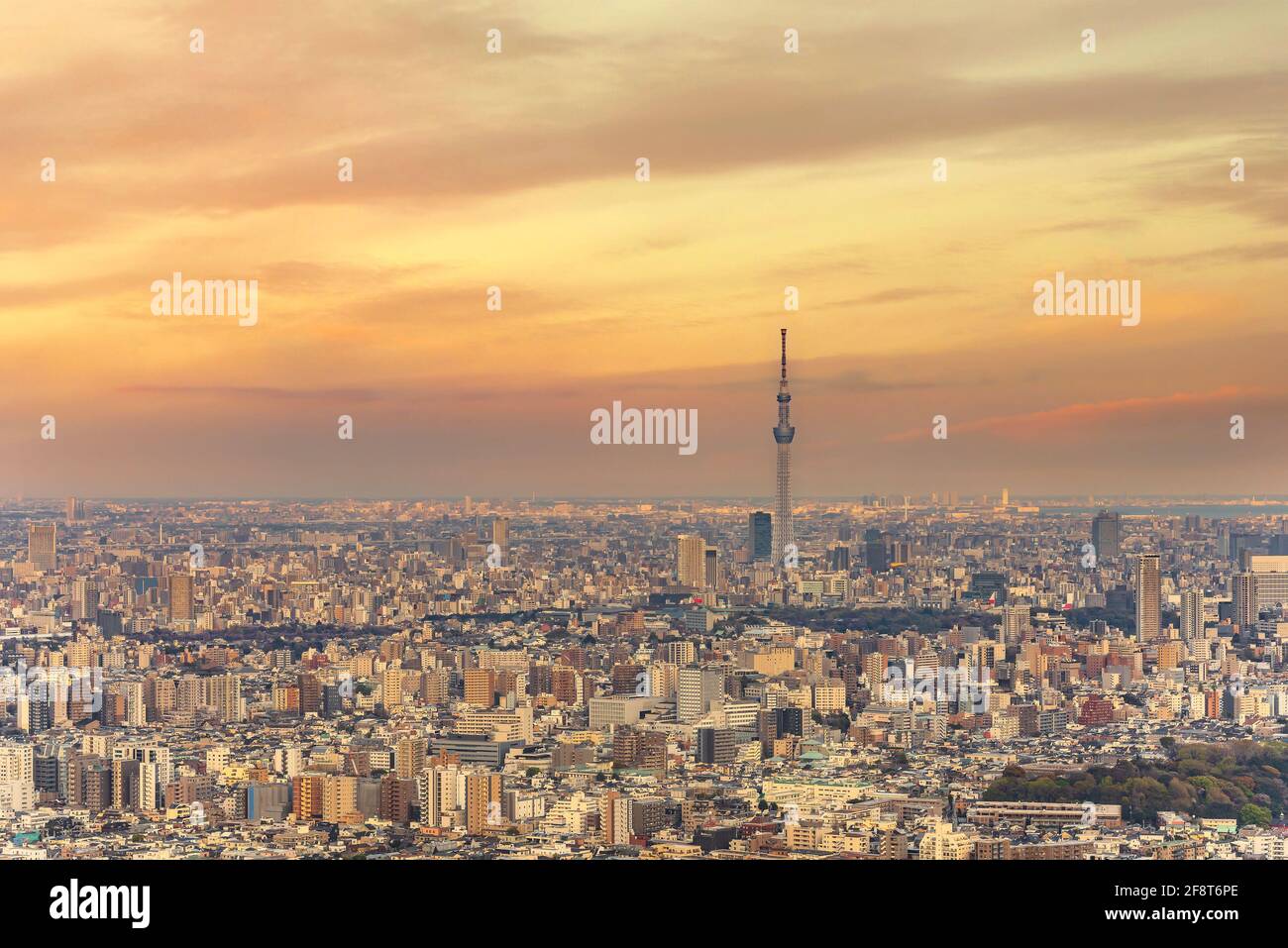 Panoramic view of Tokyo city which skyscrapers are overlooked by the ...