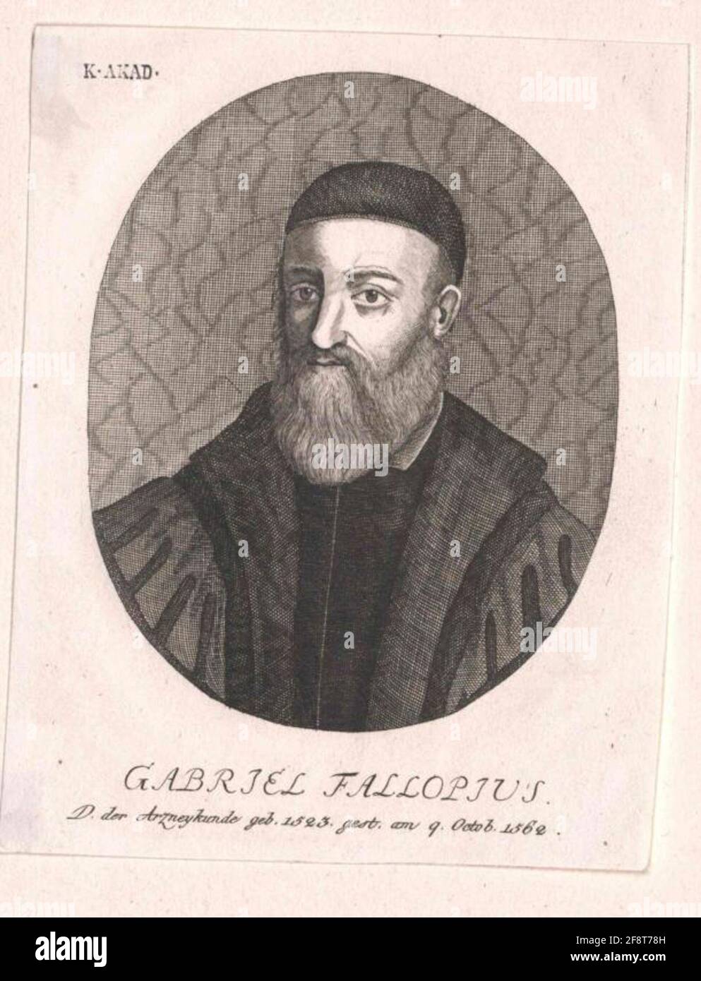 Falloppio, Gabriele Stock Photo - Alamy