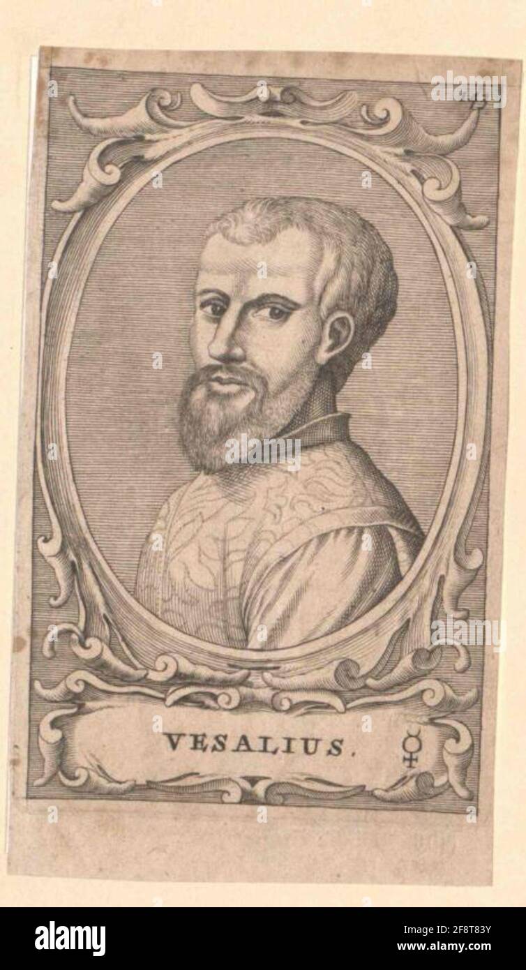 Vesalius, Andreas Stock Photo - Alamy