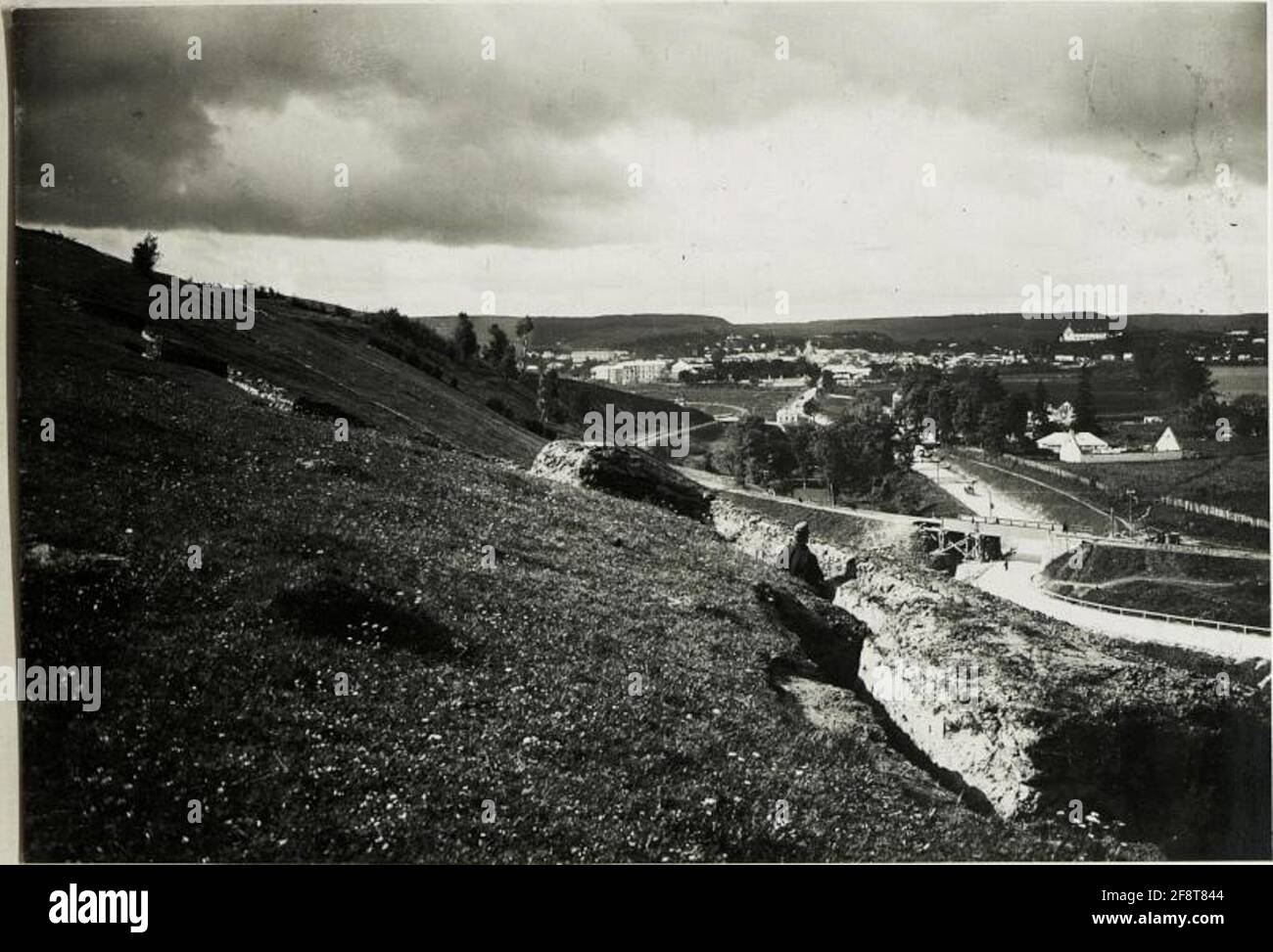 Zlota lipa hi-res stock photography and images - Alamy