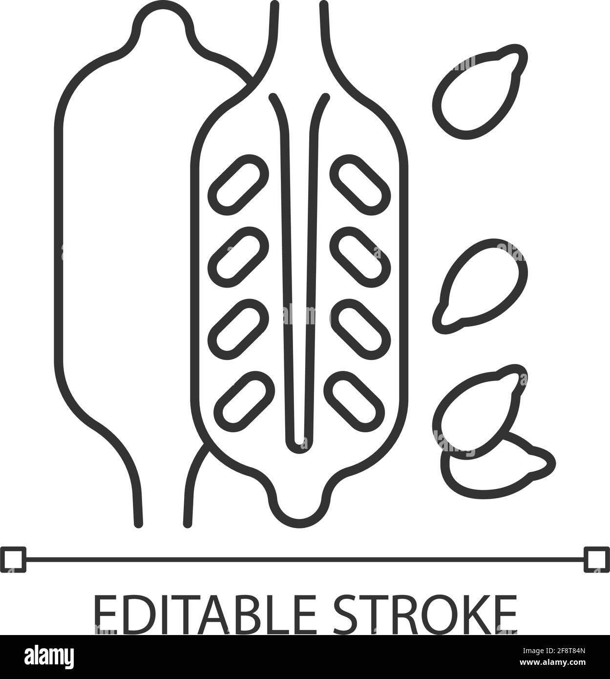 Sesame linear icon Stock Vector Image & Art - Alamy