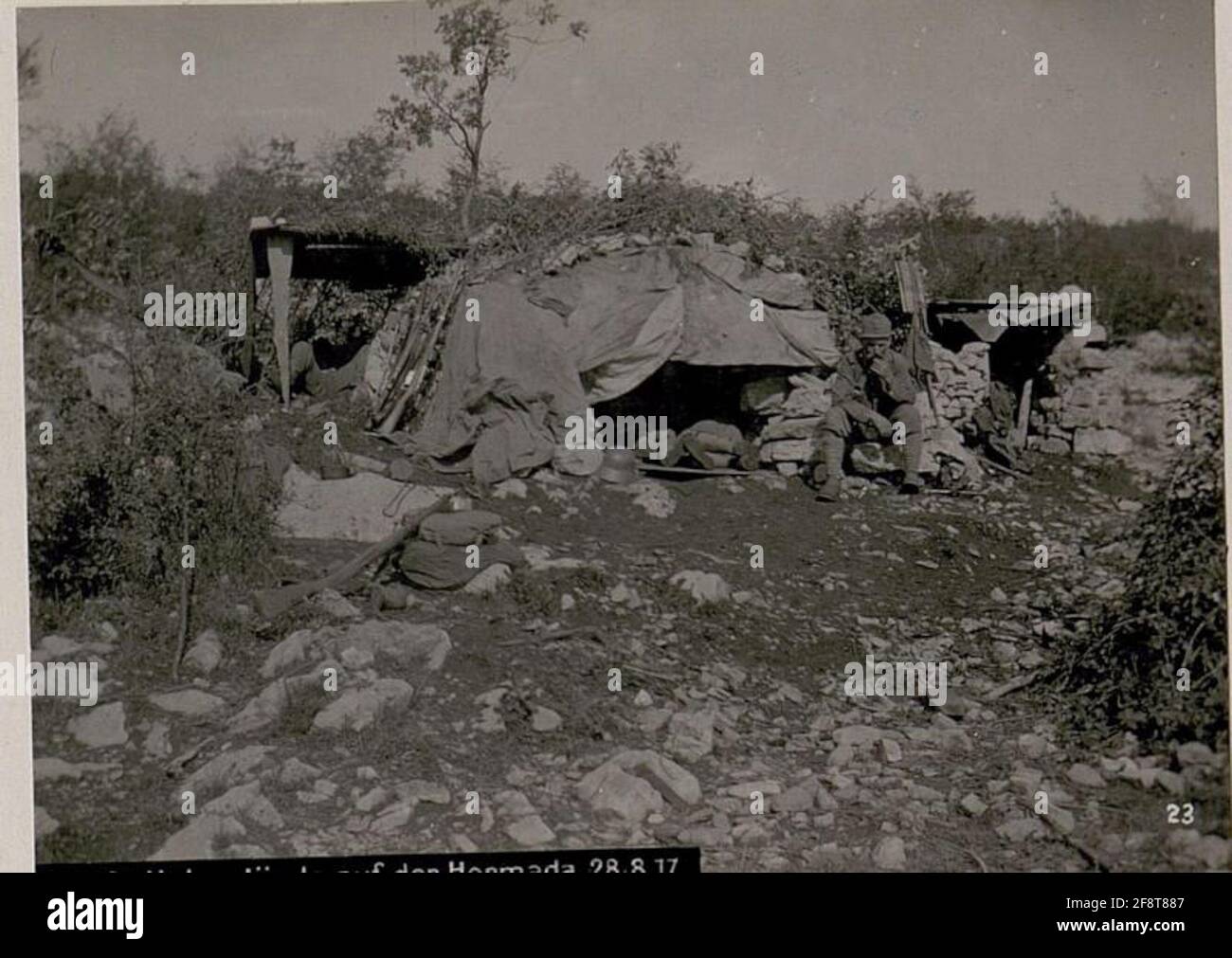 Shelles hi-res stock photography and images - Alamy