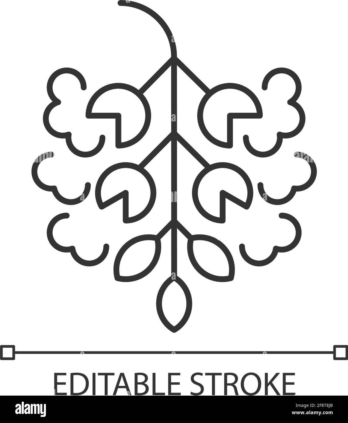 Poplar tree pollen Black and White Stock Photos & Images - Alamy