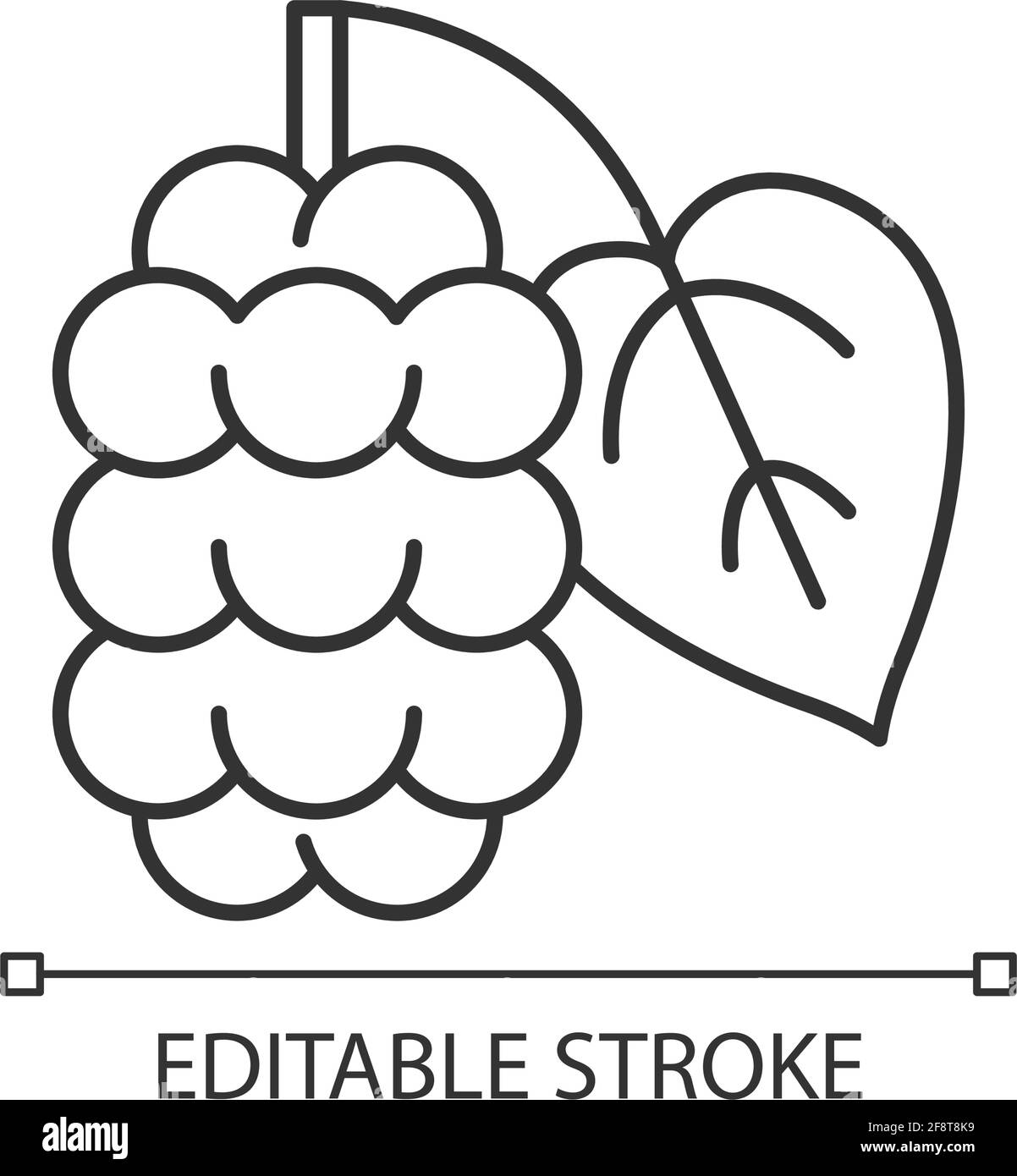 Mulberry linear icon Stock Vector Image & Art - Alamy