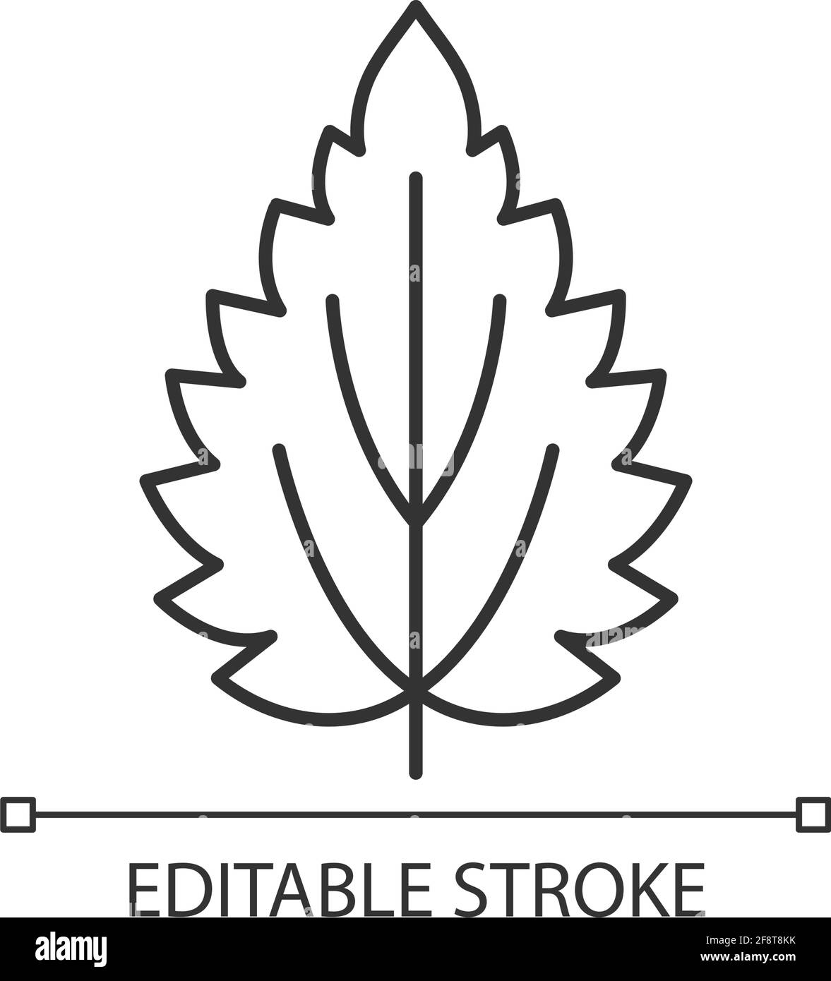 Leaf of nettle Stock Vector Images - Alamy