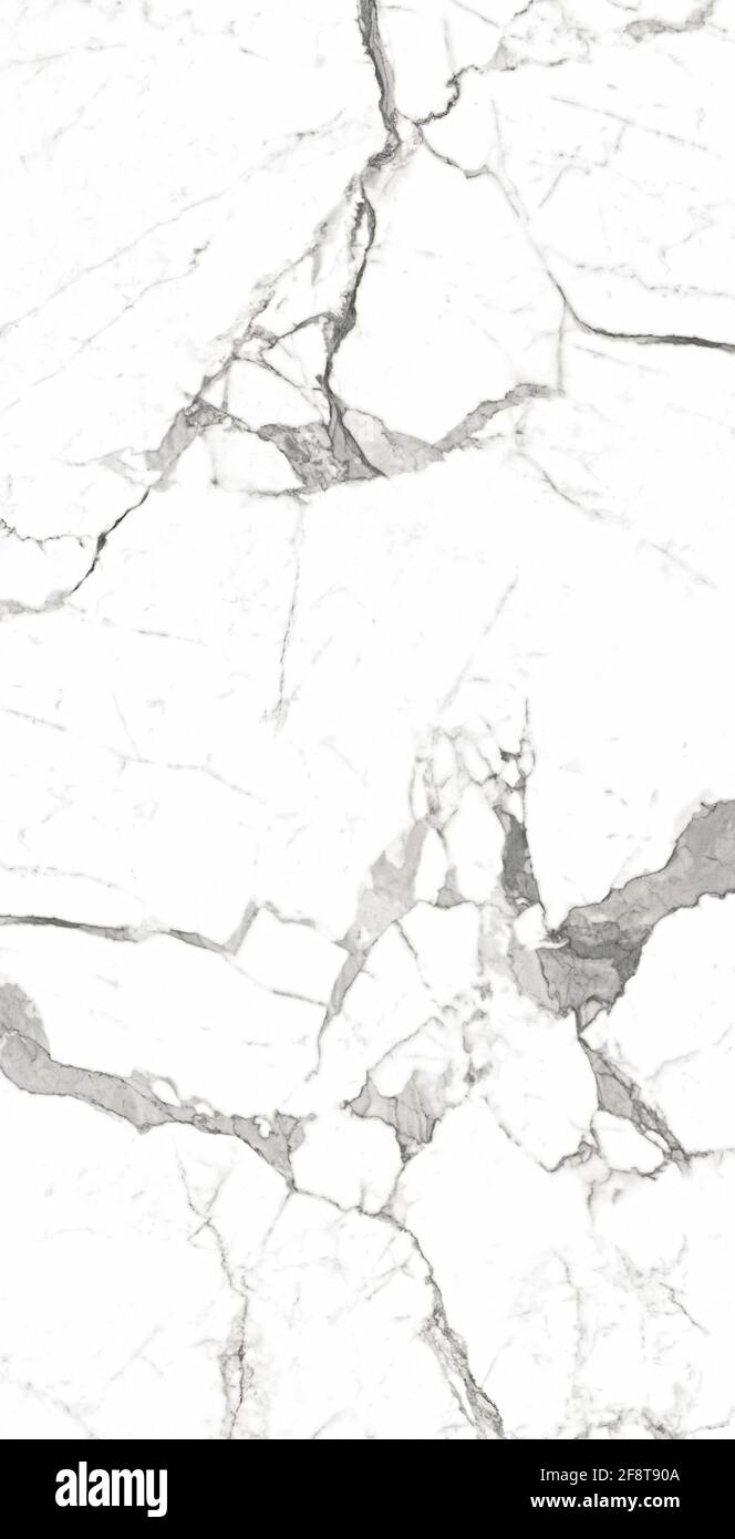 Statuario Marble Texture