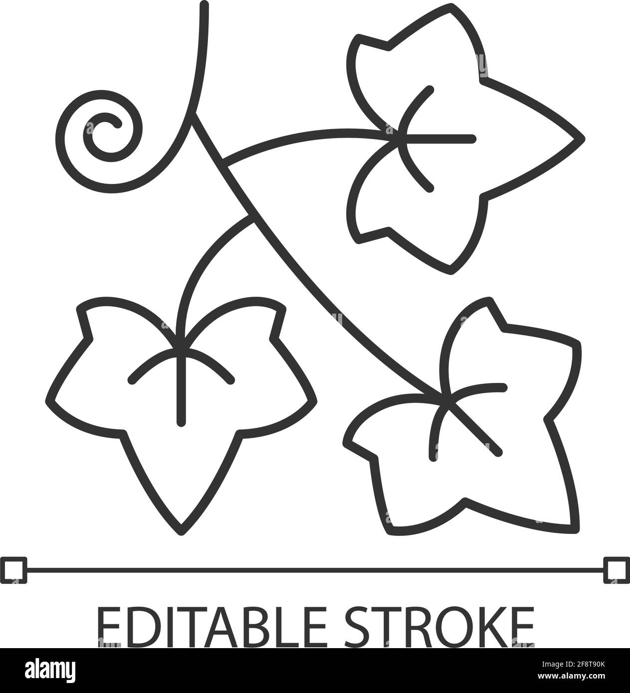 English ivy linear icon Stock Vector Image & Art - Alamy English ivy linear icon Stock Vector Image & Art - Alamy