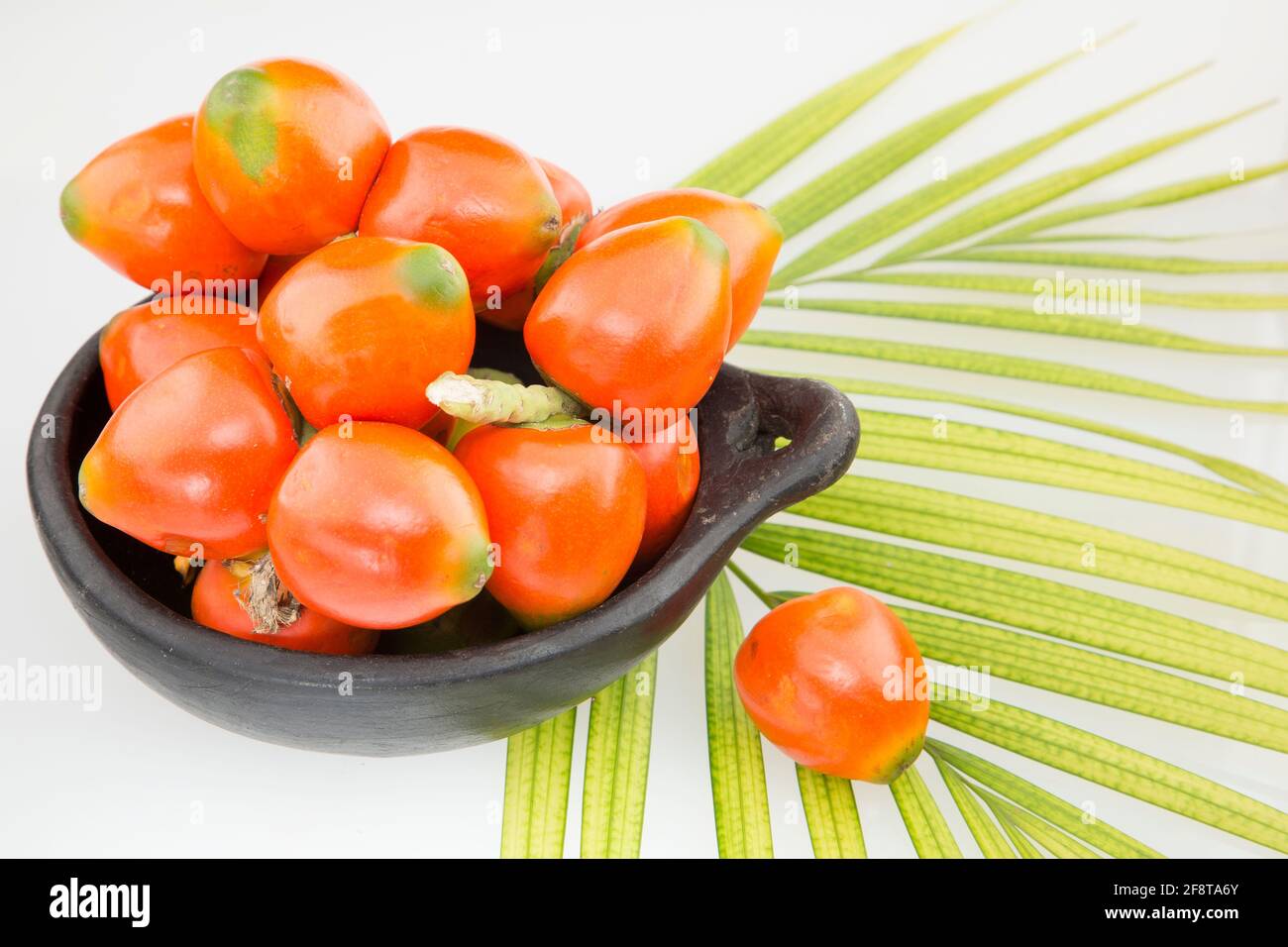 Bactris gasipaes colombia hi-res stock photography and images - Alamy