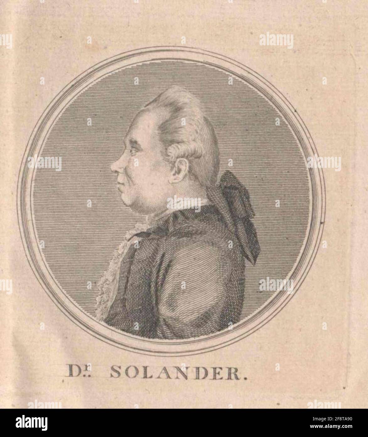 Solander, Daniel Charles Stock Photo - Alamy