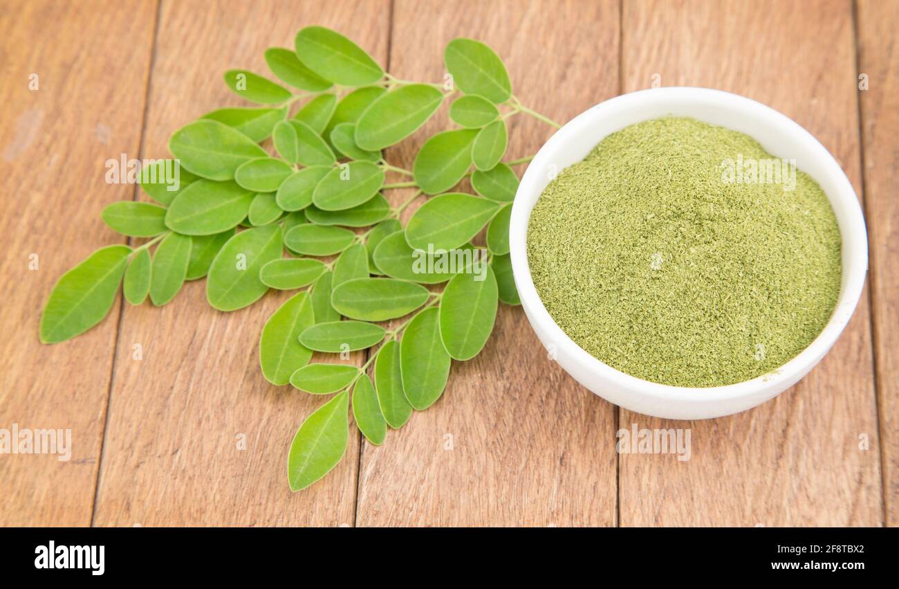 Moringa nutritional plant - Moringa oleifera Stock Photo - Alamy