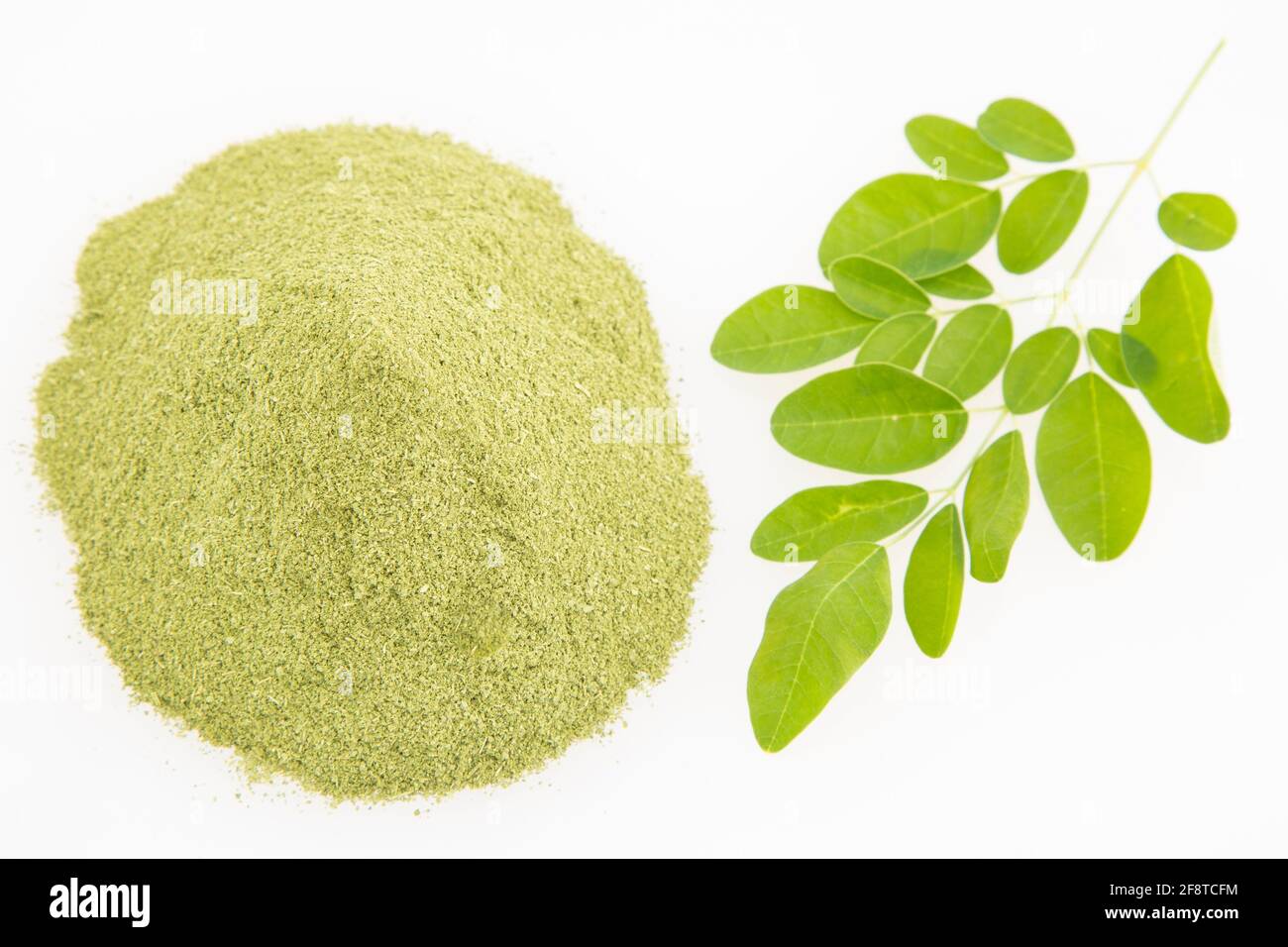 Moringa nutritional plant - Moringa oleifera Stock Photo - Alamy