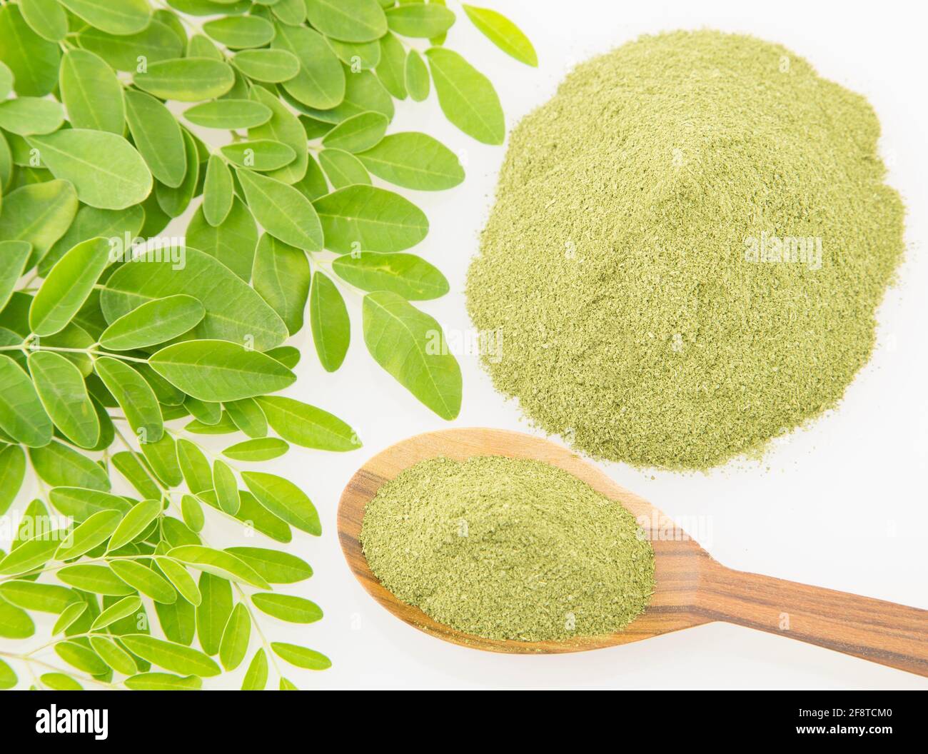 Moringa nutritional plant - Moringa oleifera Stock Photo - Alamy