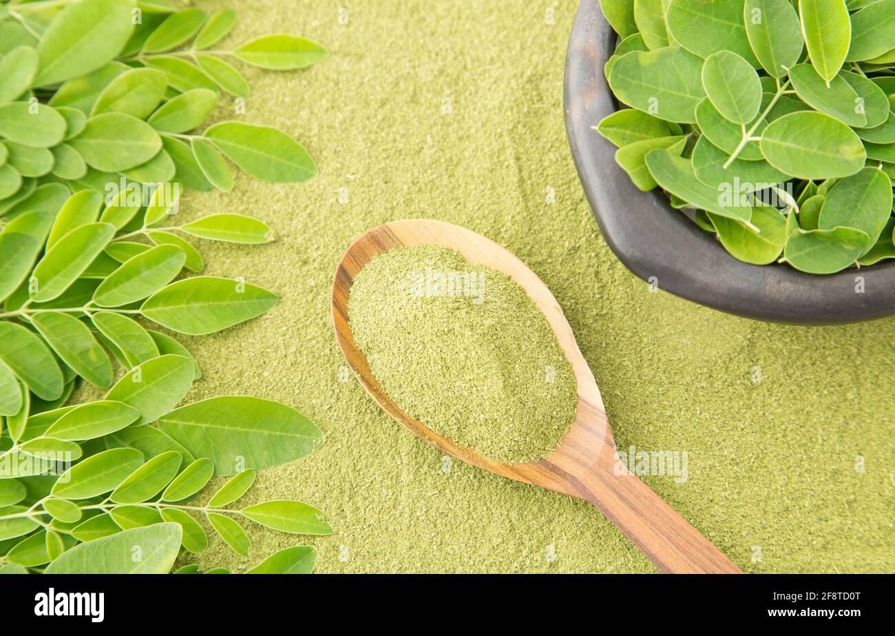 Moringa nutritional plant - Moringa oleifera Stock Photo - Alamy