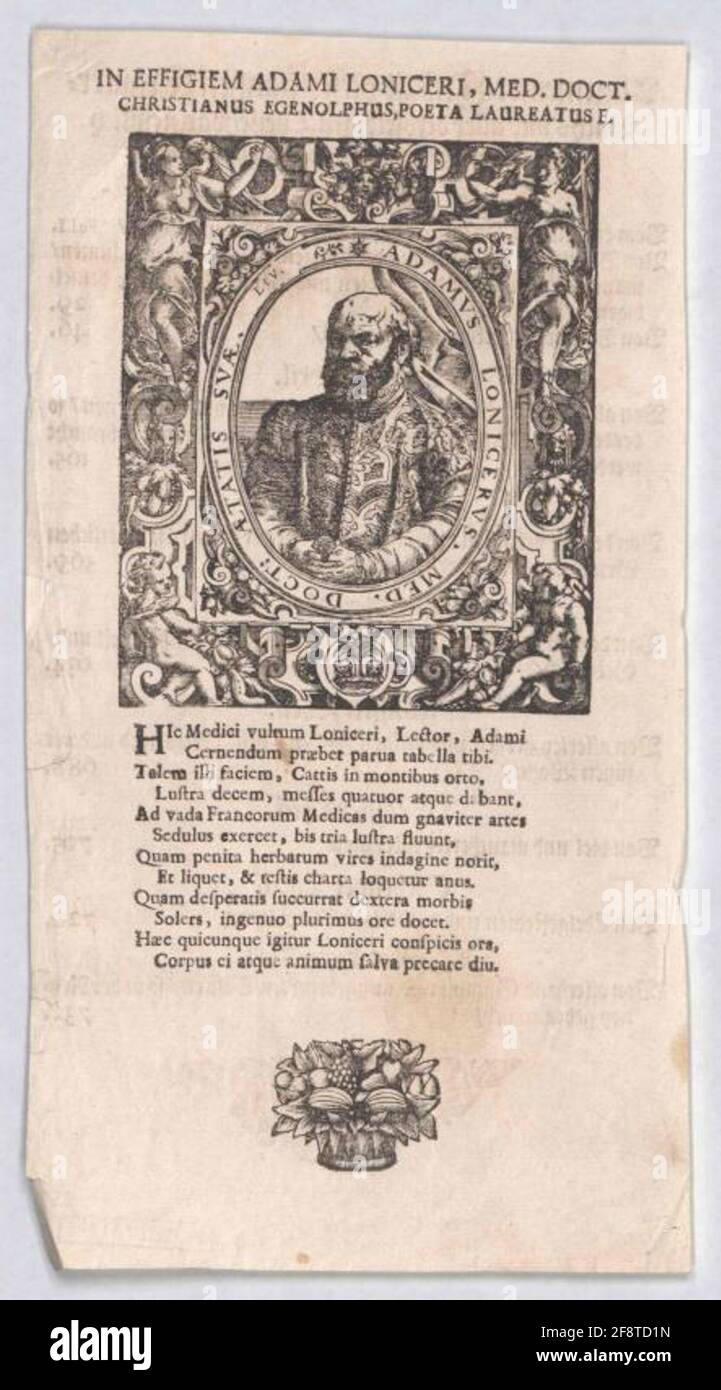 Adam lonicerus hi-res stock photography and images - Alamy