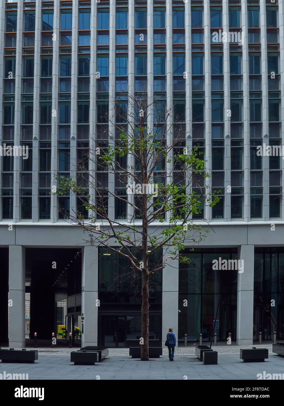 Building behind tree branches hi-res stock photography and images - Alamy