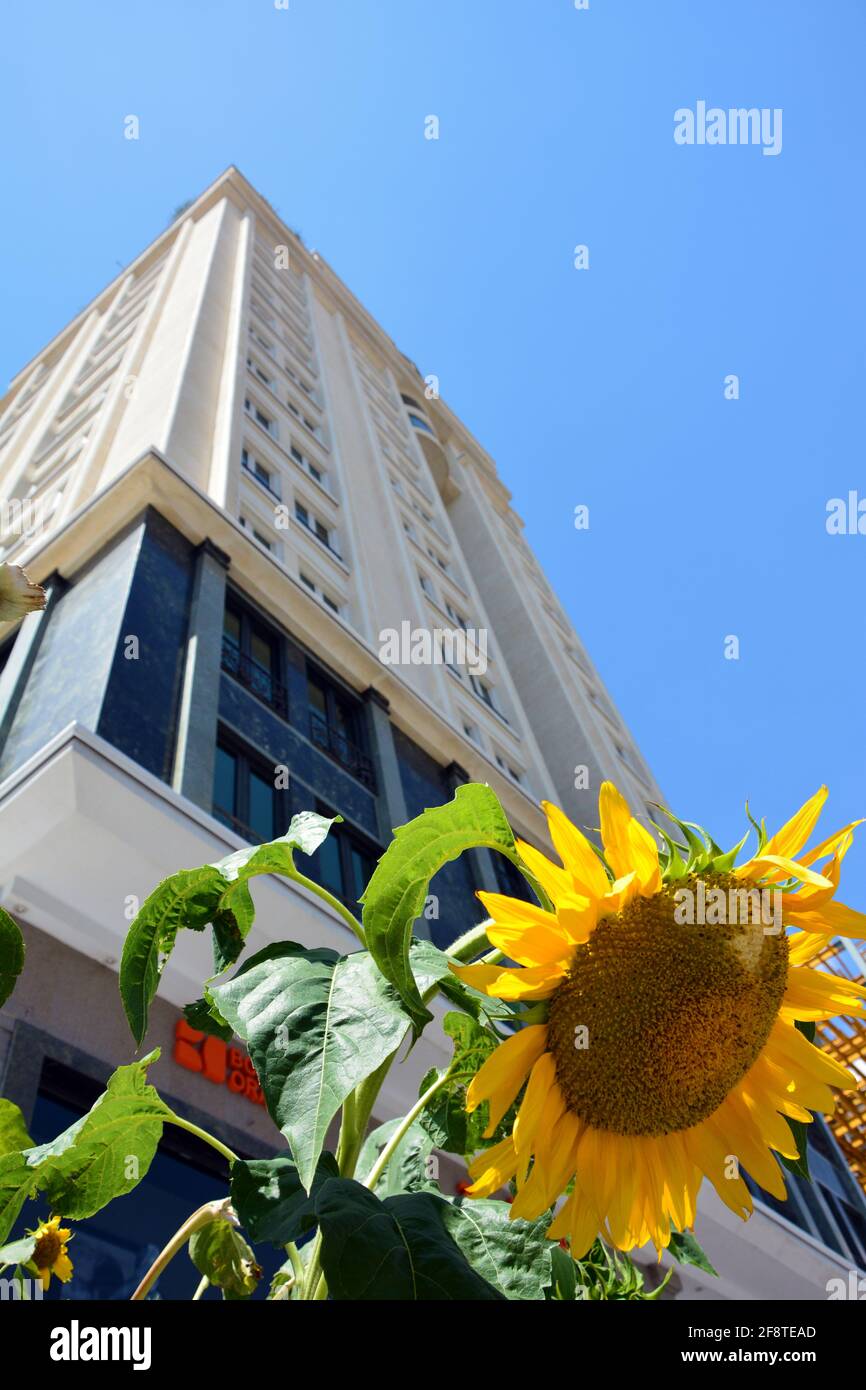 Tehran, Iran. Contemporary apartment buildings in north Tehran Stock ...
