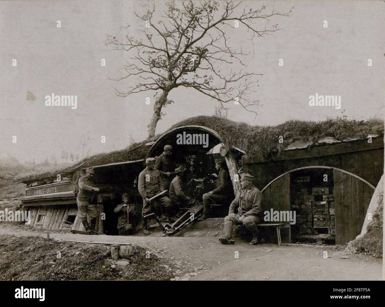 Warry hi-res stock photography and images - Alamy