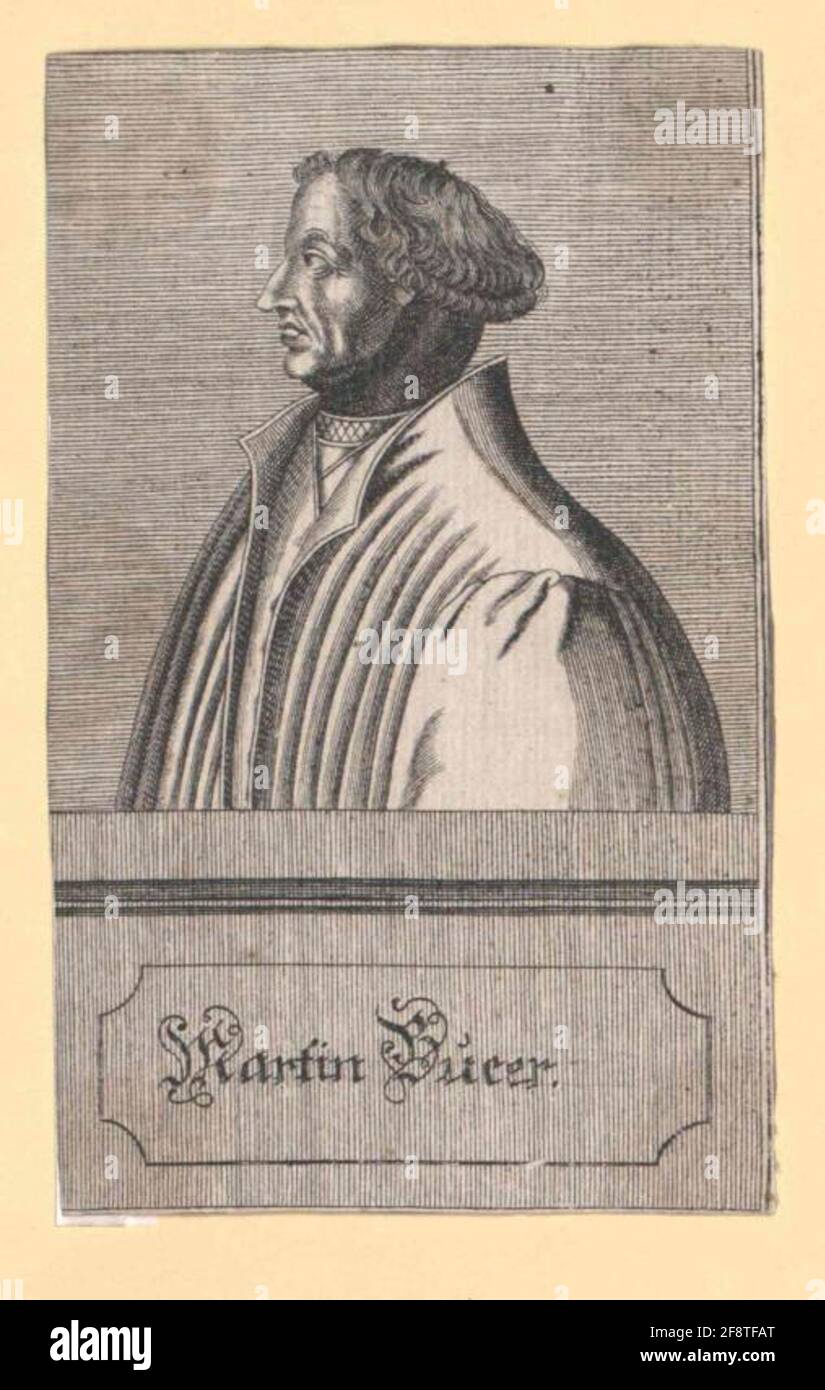 Bucer hi-res stock photography and images - Alamy