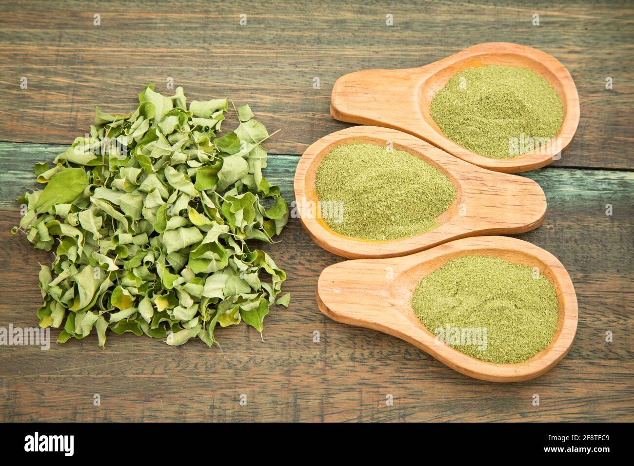Moringa nutritional plant - Moringa oleifera Stock Photo - Alamy