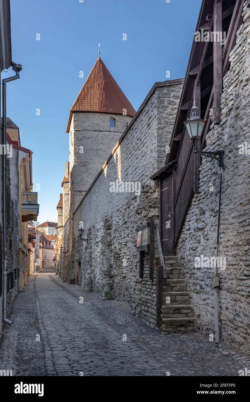 Tallinn, Estonia, 24th March 2021: beautiful medieval buildings of ...