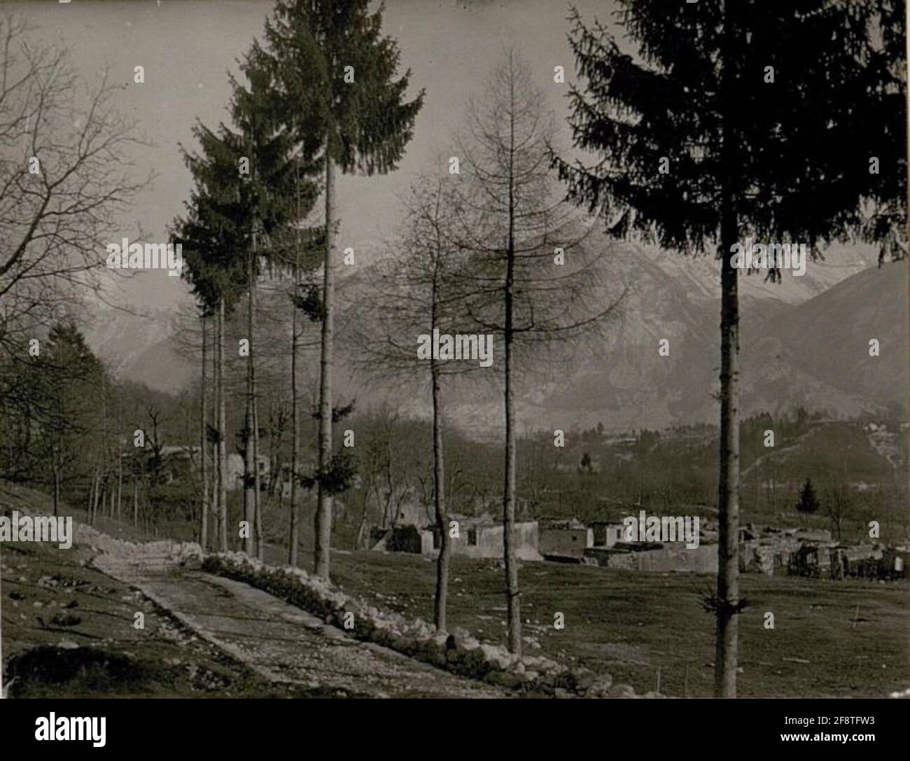 Plen hi-res stock photography and images - Alamy