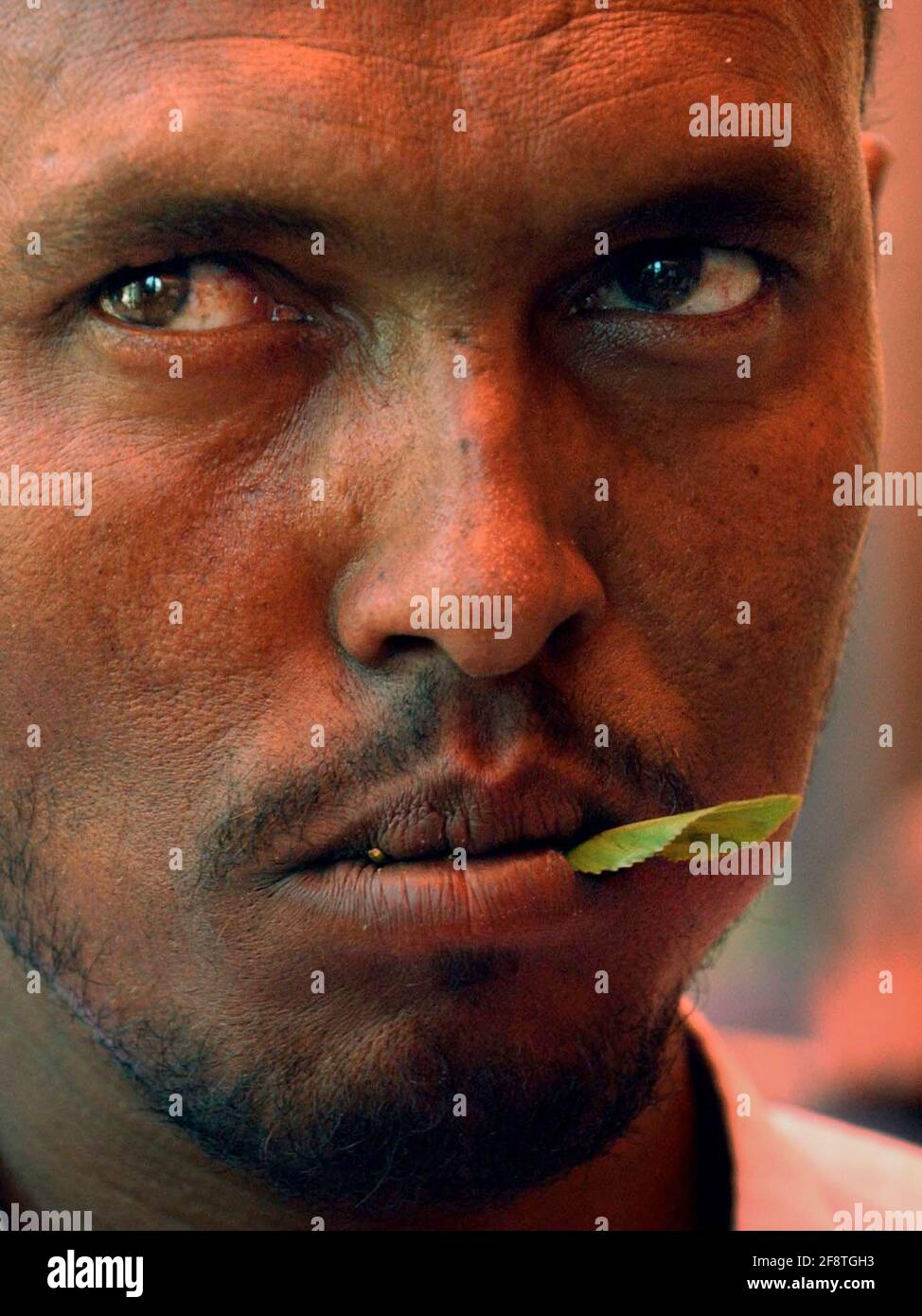 SOME MEN SPEND MUCH OF THE AFTERNOON,CHEWING KHAT IN THE MARKET PLACE ...