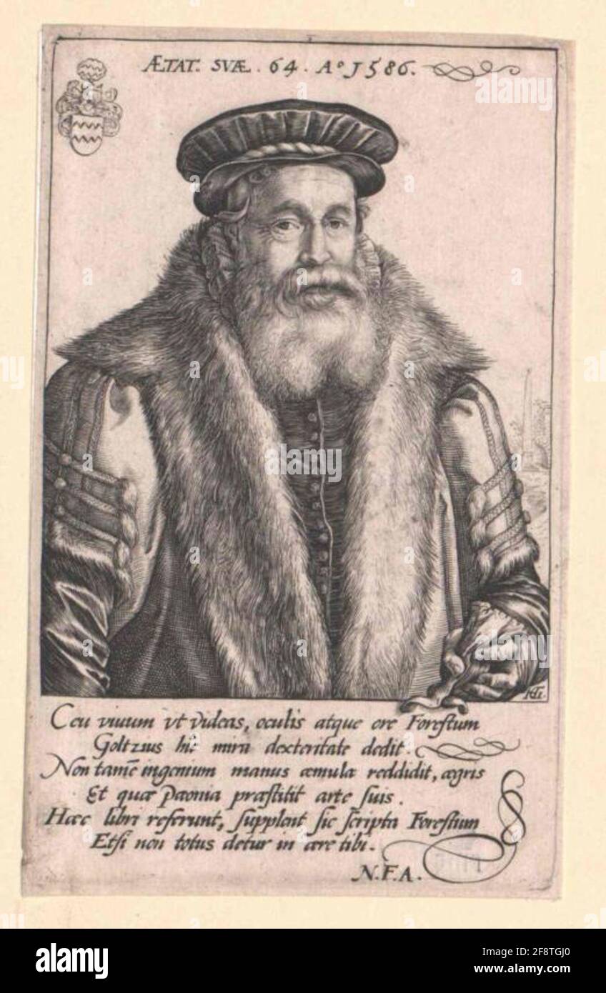 Foreest, Pieter van Stock Photo - Alamy