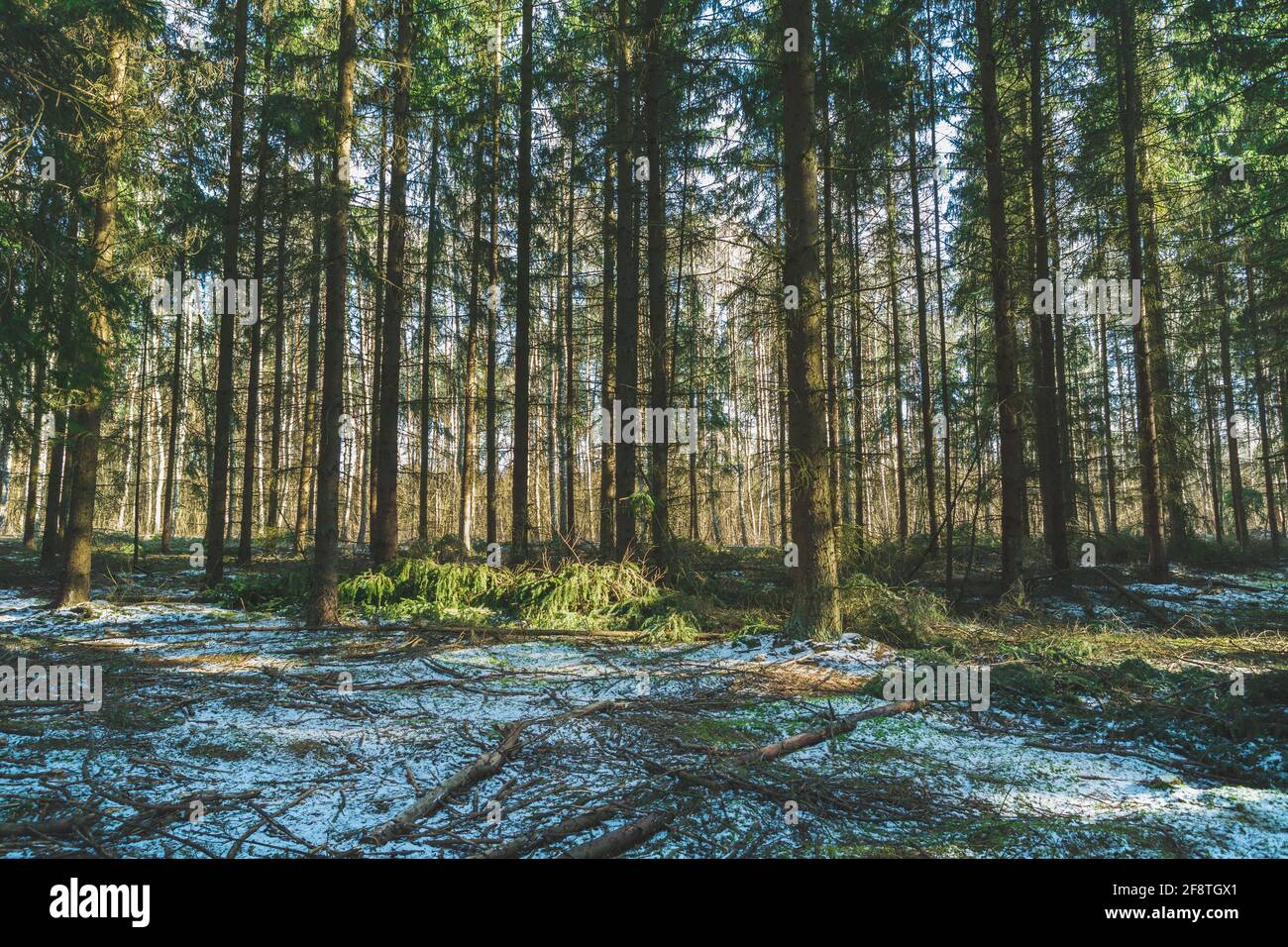 Day of fine spring weather hi-res stock photography and images - Alamy