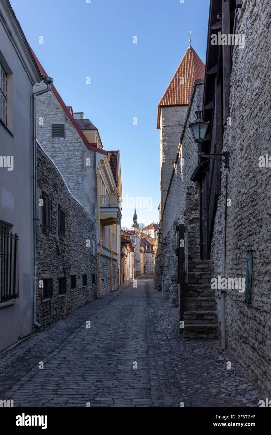 Tallinn, Estonia, 24th March 2021: beautiful medieval buildings of ...