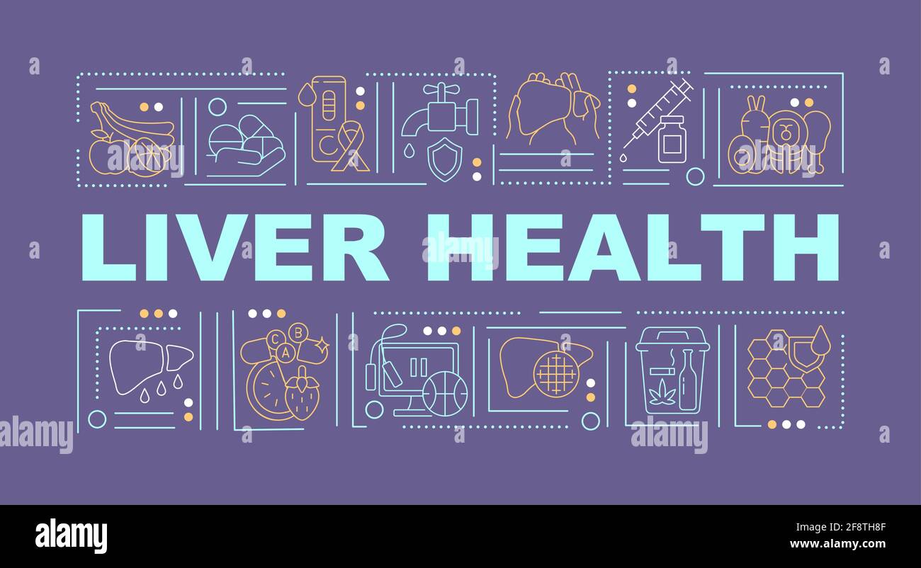Liver health word concepts banner Stock Vector Image & Art - Alamy