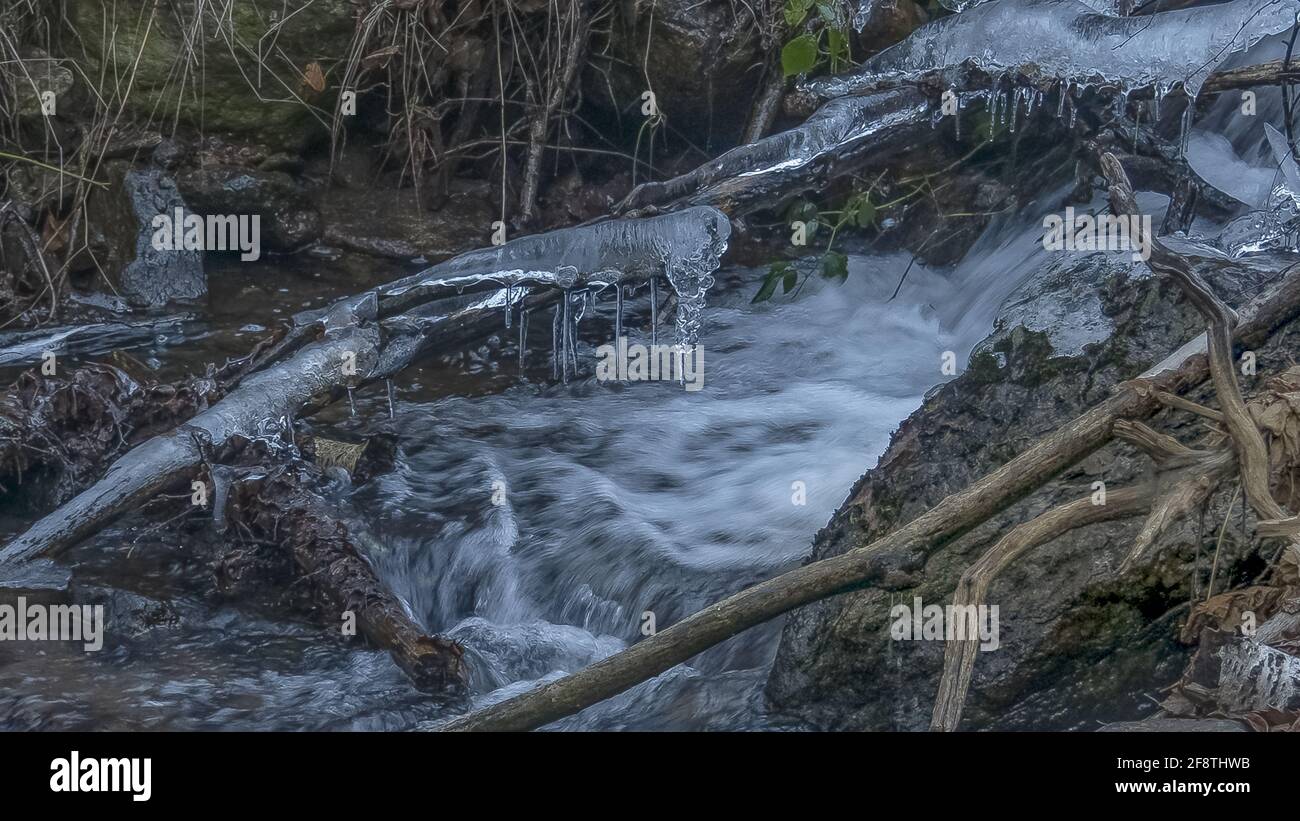 Icicles over lake tree hi-res stock photography and images - Alamy