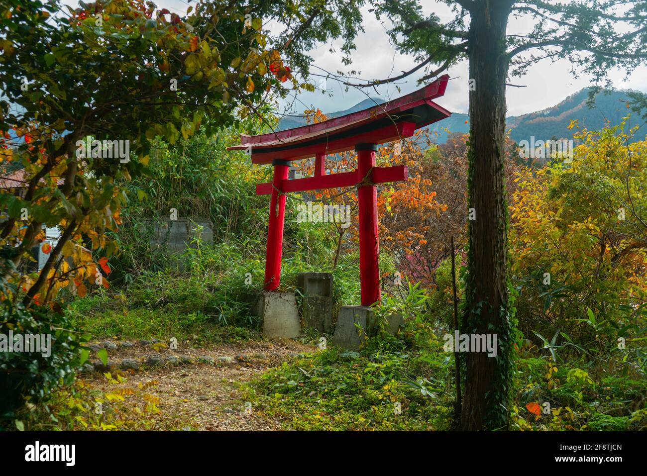 Scenic view of a landscape in Takashima Park, Suwa Japan Stock Photo ...