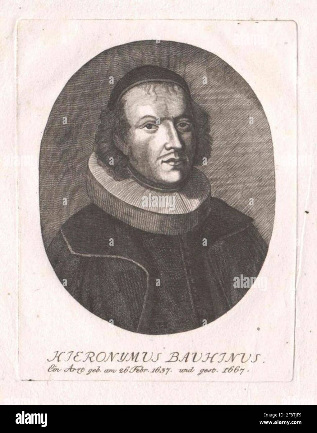 Bauhin, Hieronymus Stock Photo - Alamy