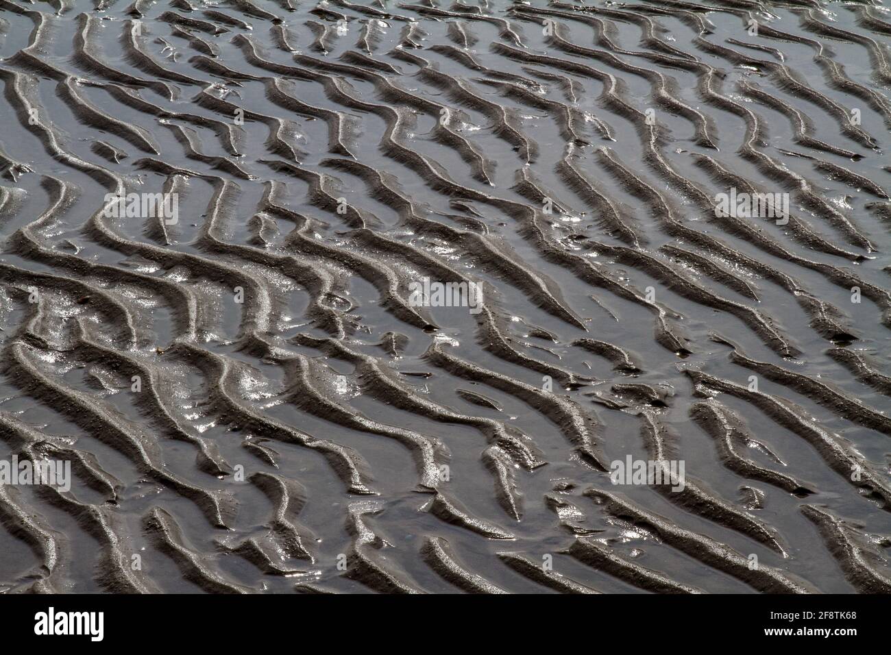 Texture of mud and sand on the beach Stock Photo - Alamy