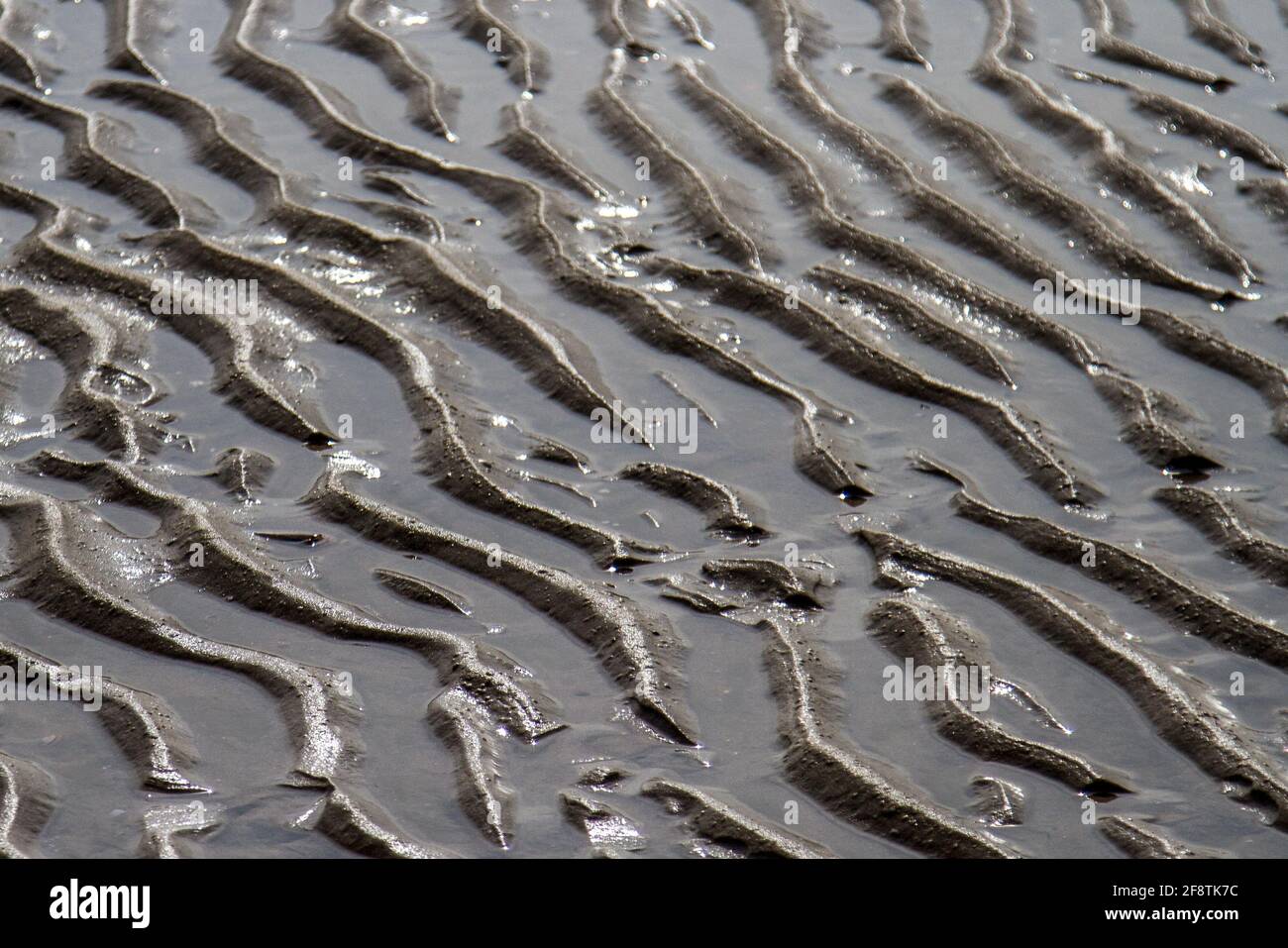 Texture of mud and sand on the beach Stock Photo - Alamy