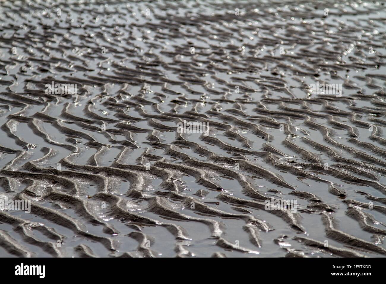 Texture of mud and sand on the beach Stock Photo - Alamy
