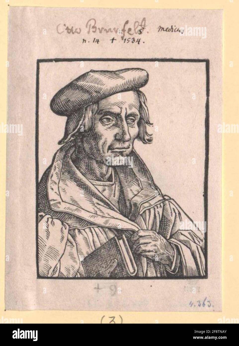 Brunfels hi-res stock photography and images - Alamy