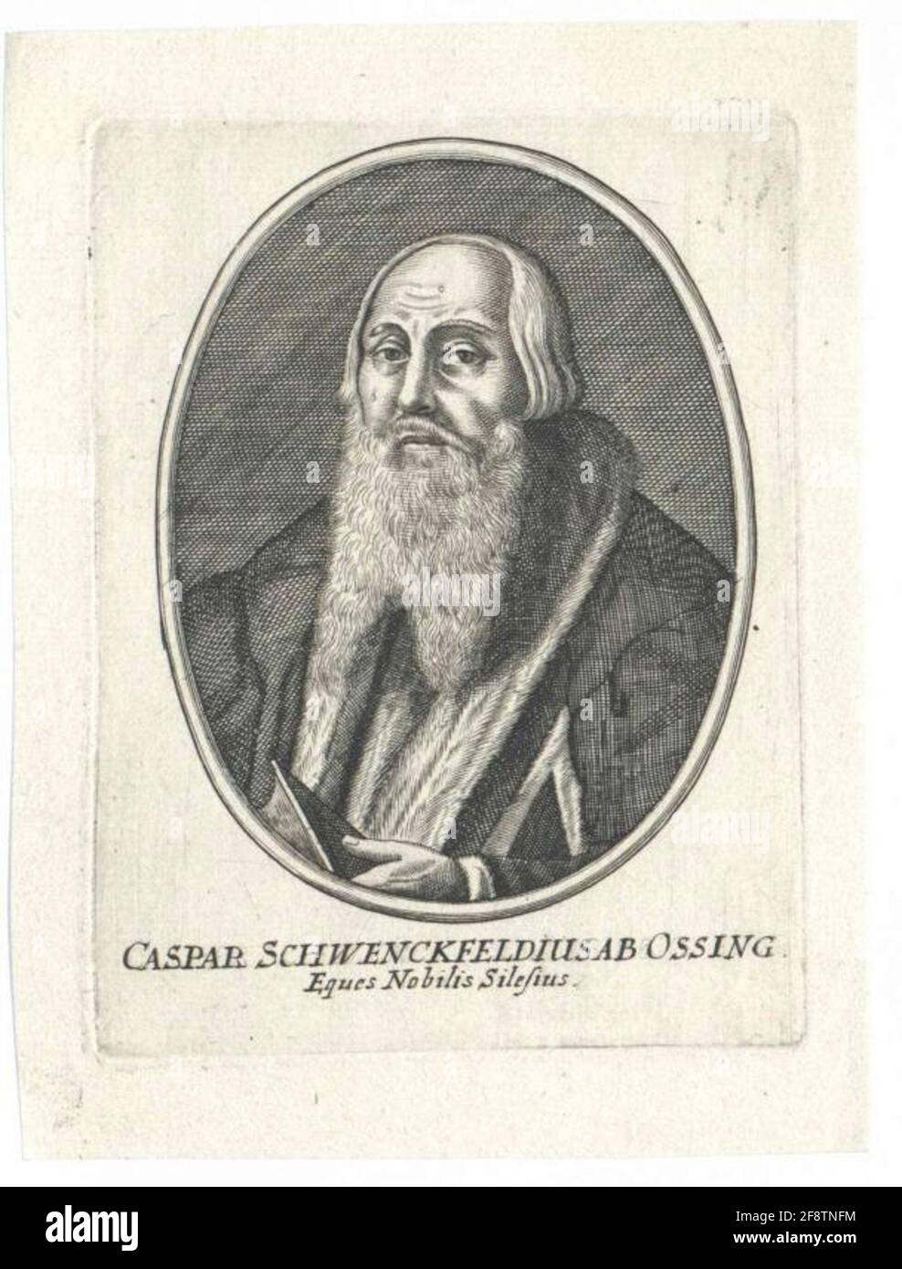 Influence field Cut Out Stock Images & Pictures - Alamy